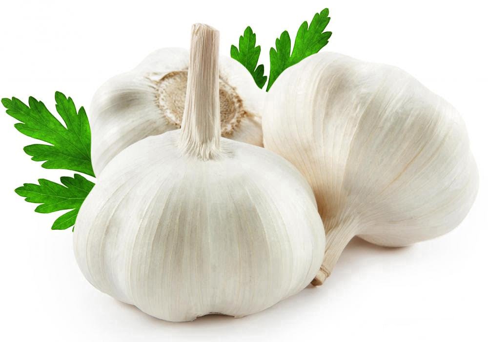 लहसुन के फायदे एवं नुकसान - Garlic (Lahsun) Benefits - Side-Effects in ...